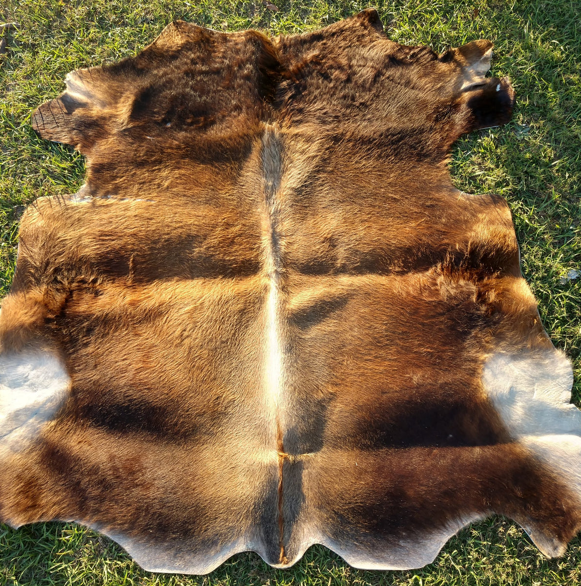 Cowhide #2 – Arrowhead Beef