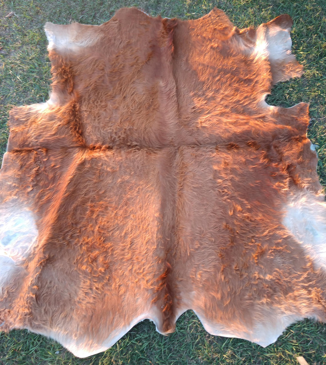 Cowhide #8 – Arrowhead Beef