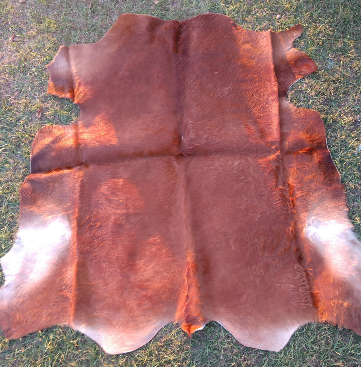 Cowhide #9 – Arrowhead Beef