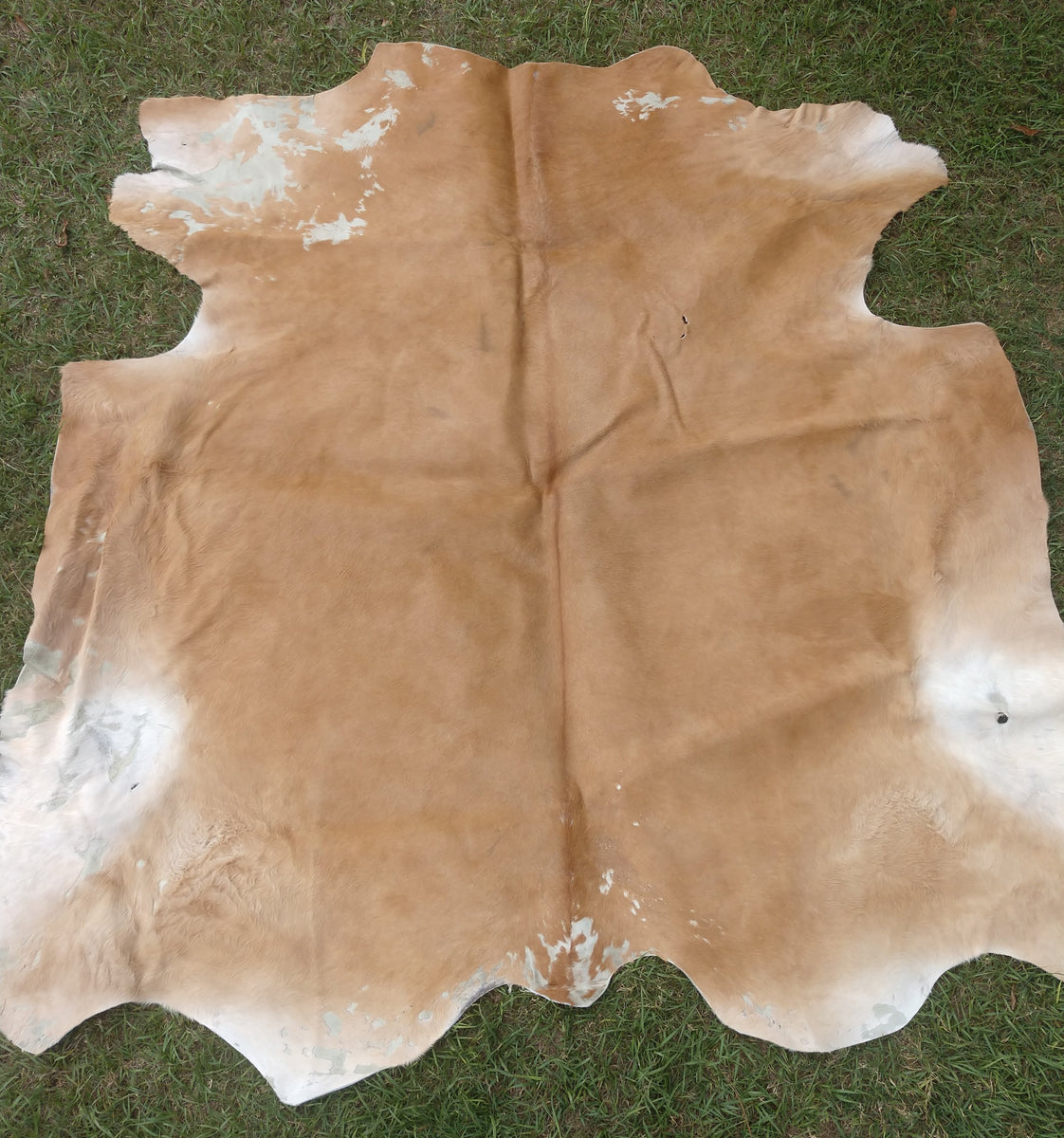 Cowhide #20 – Arrowhead Beef