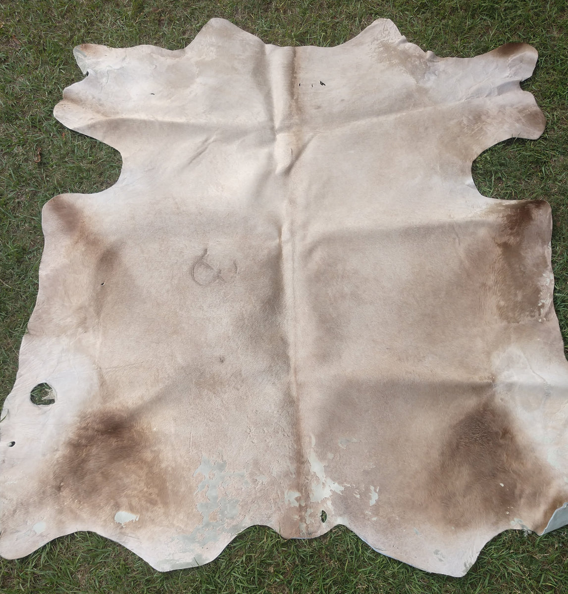 Cowhide #21 – Arrowhead Beef