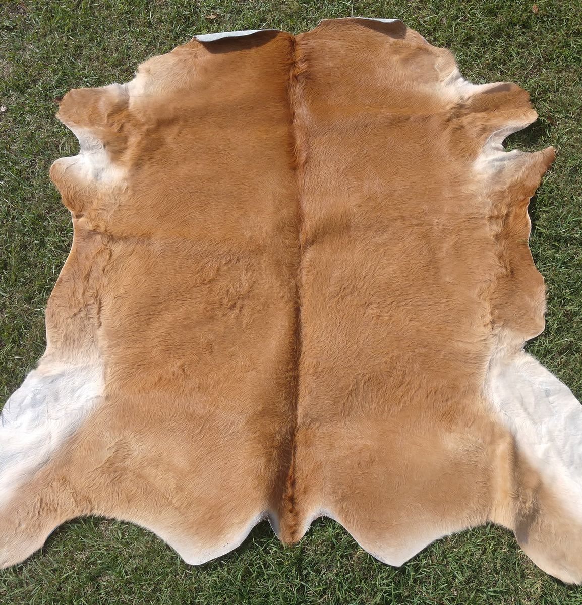 Cowhide #24 – Arrowhead Beef