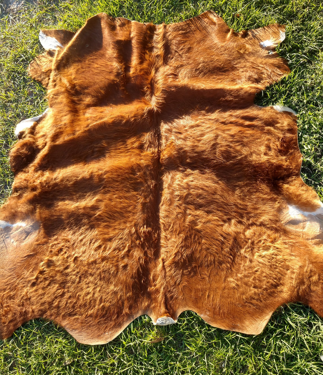 Cowhide #25 – Arrowhead Beef